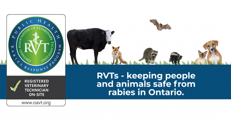 Veterinary Hospitals & Animal Shelter Staff — Ontario Association of ...