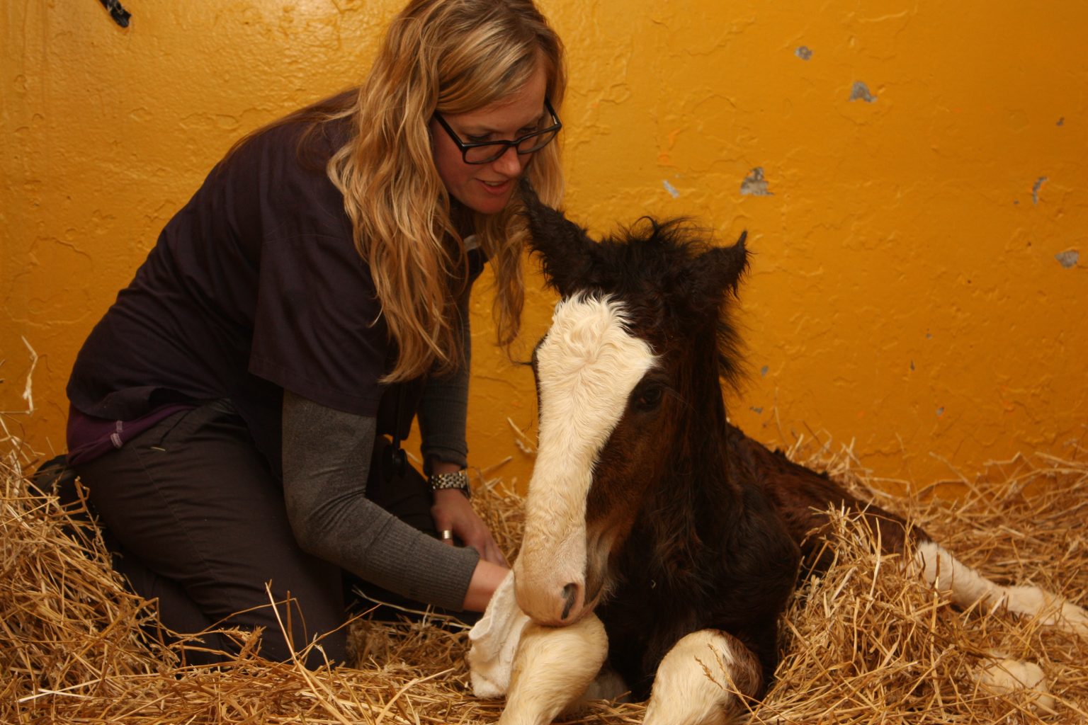 RVT Spotlight of the Month - December2021 — Ontario Association of ...