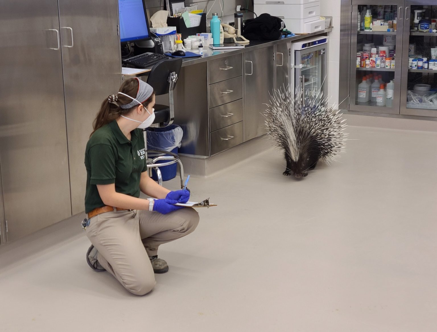 RVT Spotlight of the Month - February 2022 — Ontario Association of ...