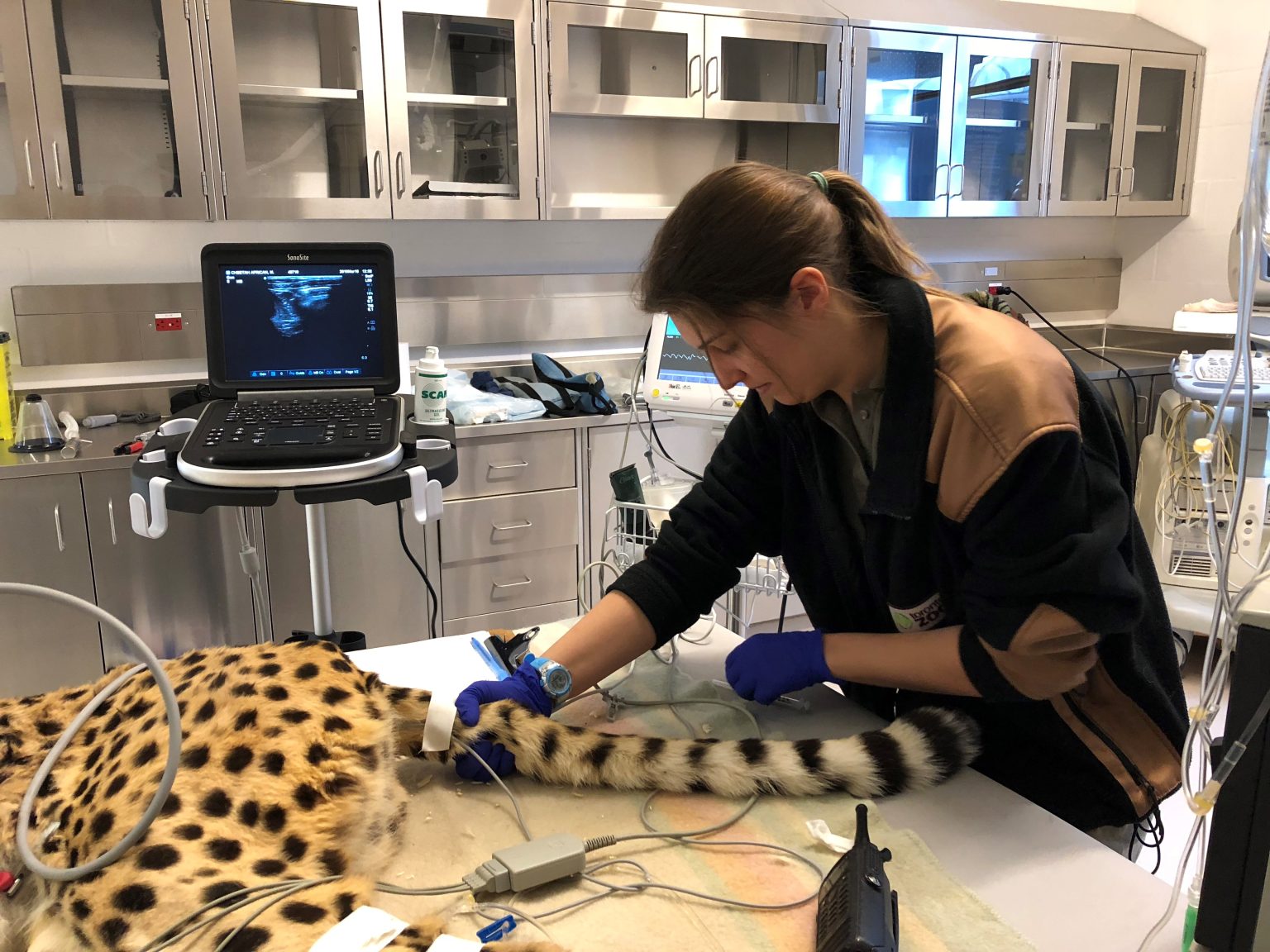 RVT Spotlight of the Month - February 2022 — Ontario Association of ...