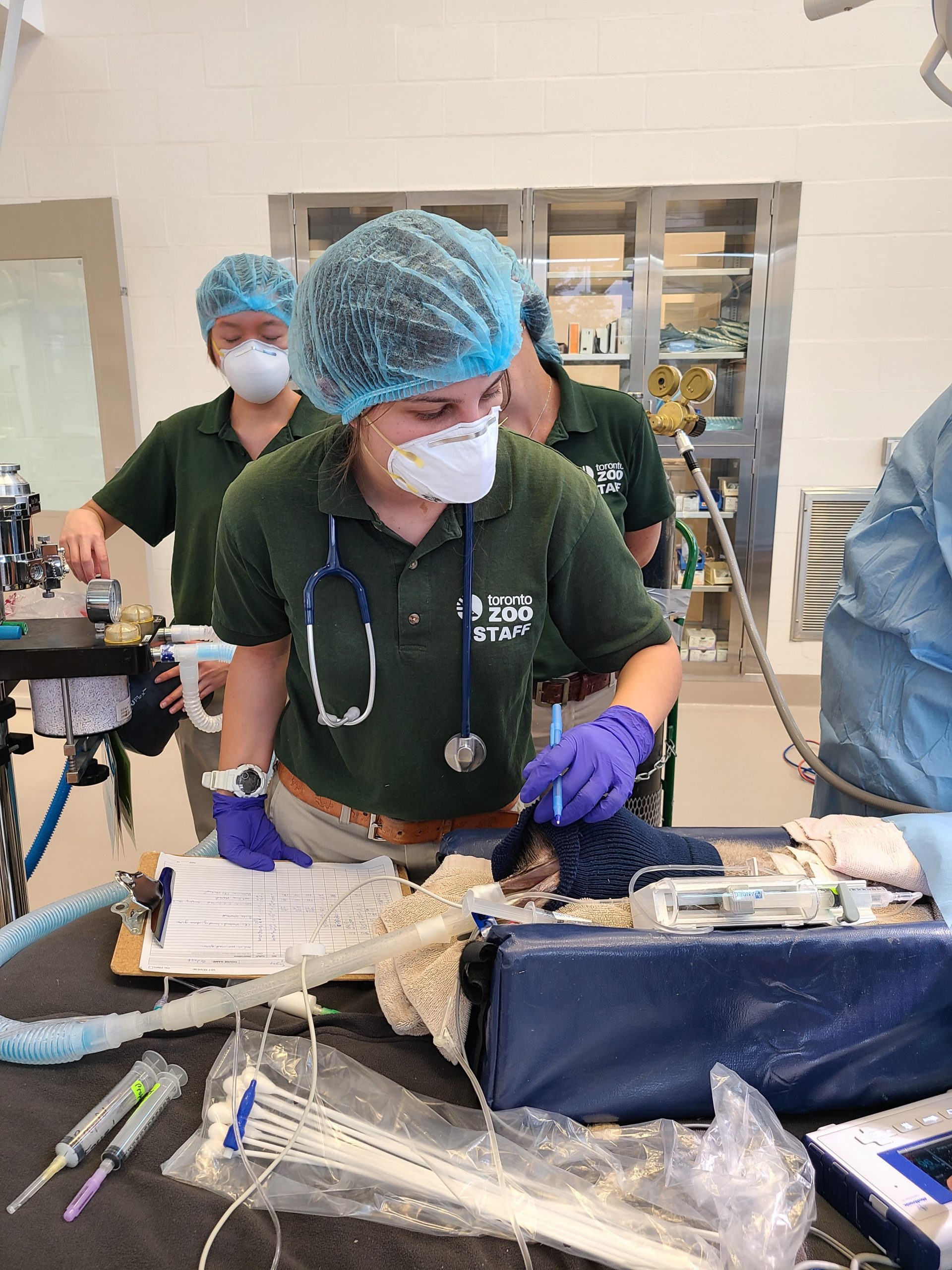 RVT Spotlight of the Month - February 2022 — Ontario Association of ...