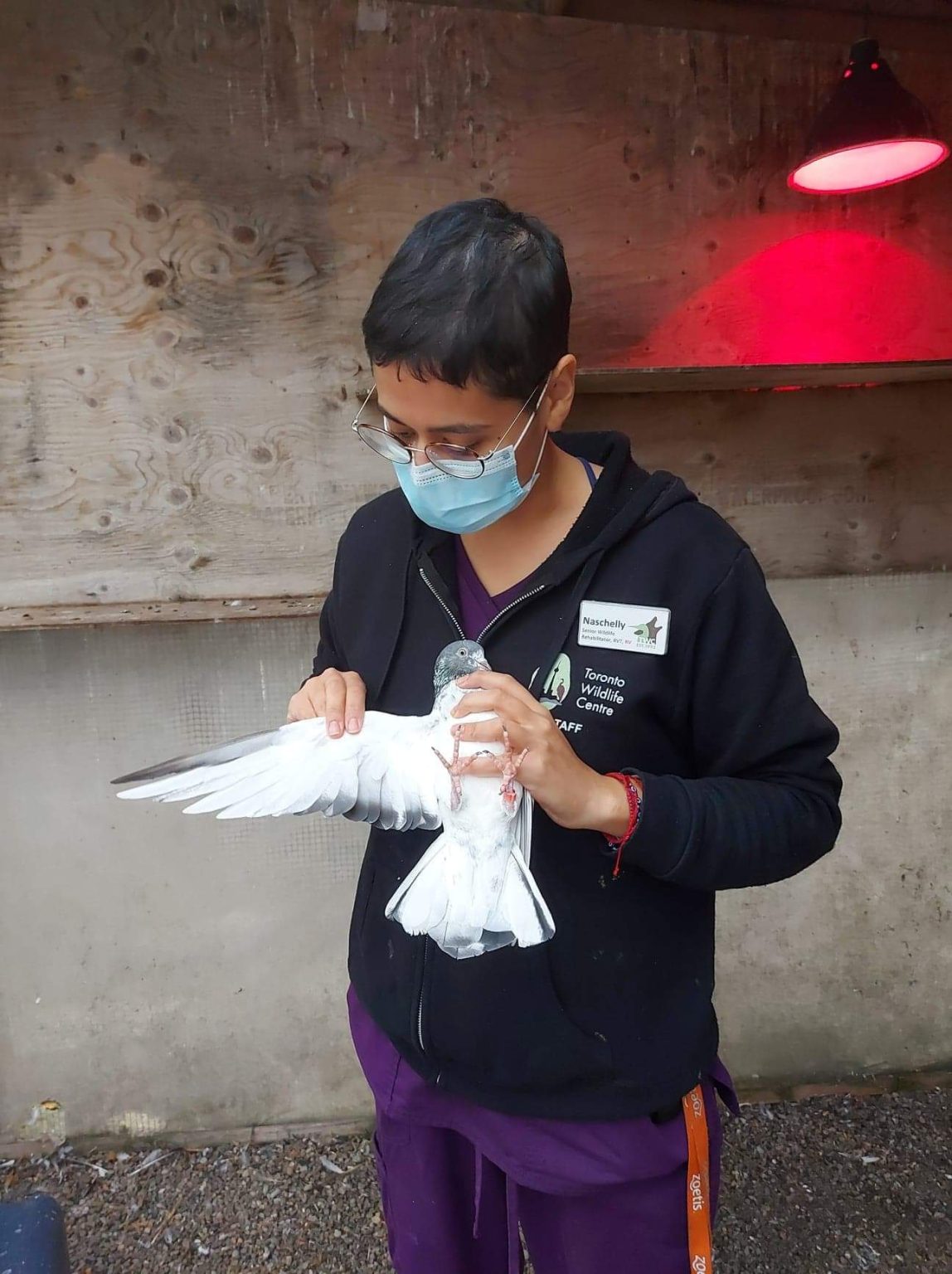 RVT Spotlight of the Month - July 2022 — Ontario Association of ...