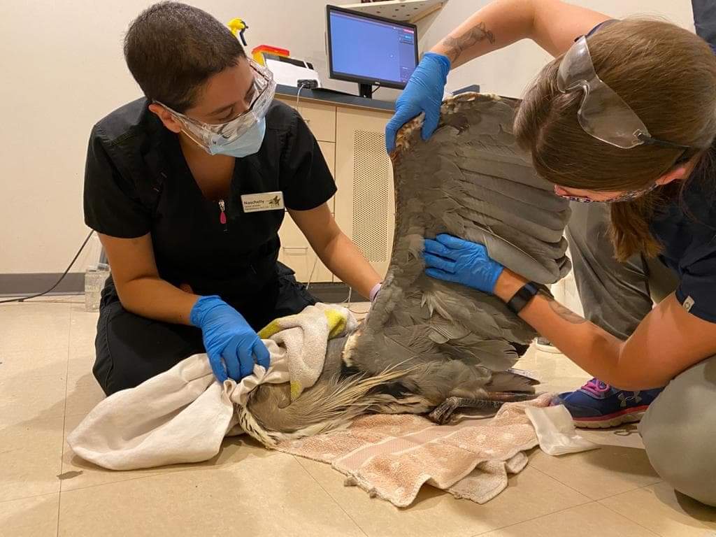 RVT Spotlight of the Month - July 2022 — Ontario Association of ...