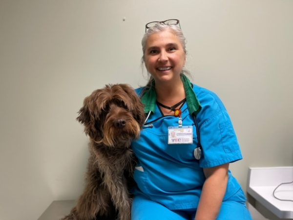 RVT Spotlight of the Month - October 2022 — Ontario Association of ...