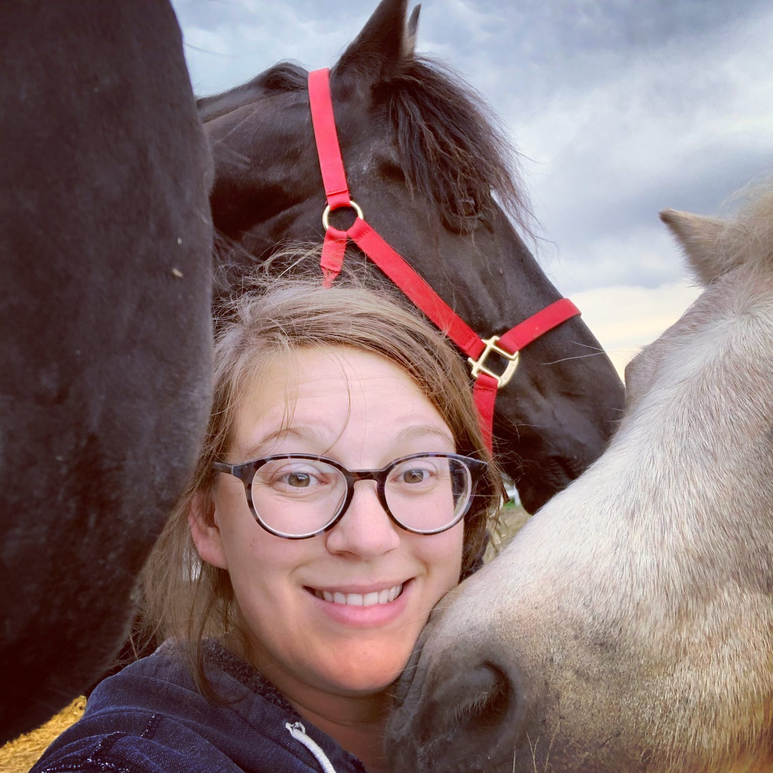 RVT Spotlight of the Month - November 2022 — Ontario Association of ...