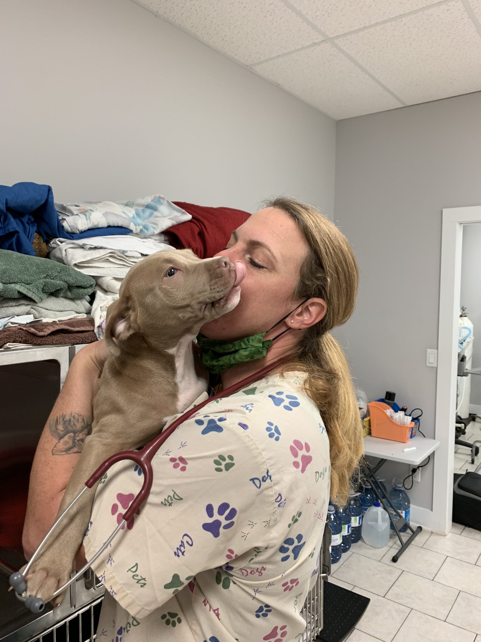 DawnAnn — Ontario Association of Veterinary Technicians