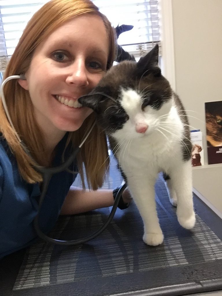 RVT Spotlight of the Month - January 2023 — Ontario Association of ...