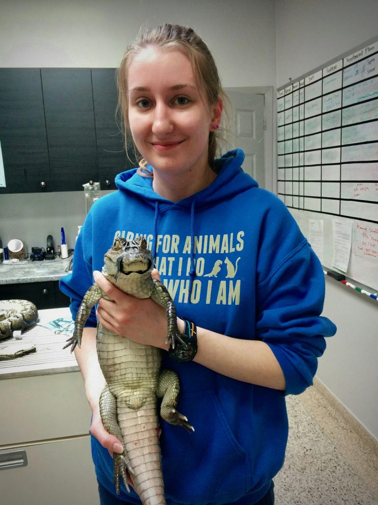 RVT Spotlight of the Month - March 2023 — Ontario Association of ...