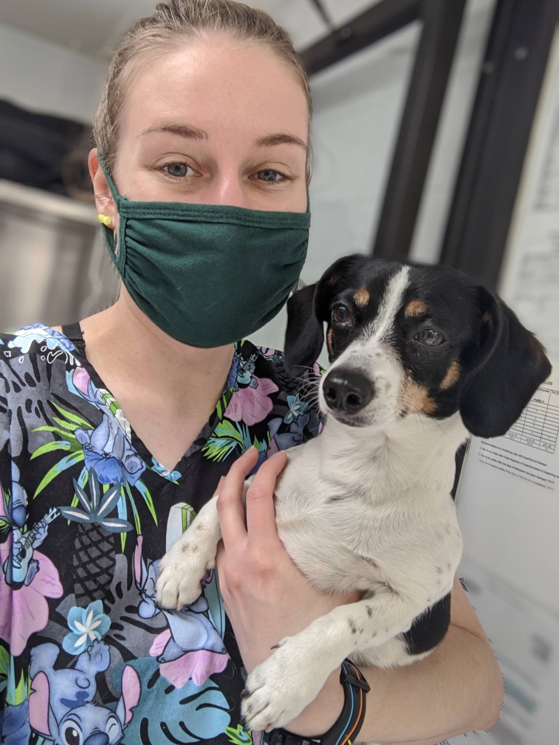 RVT Spotlight of the Month - March 2023 — Ontario Association of ...