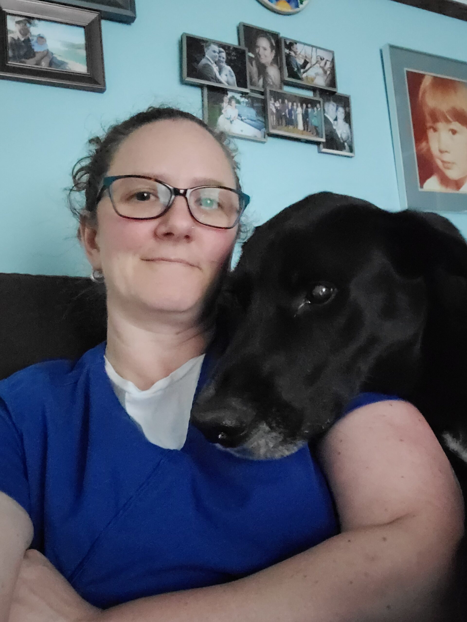 ajjrvt — Ontario Association of Veterinary Technicians