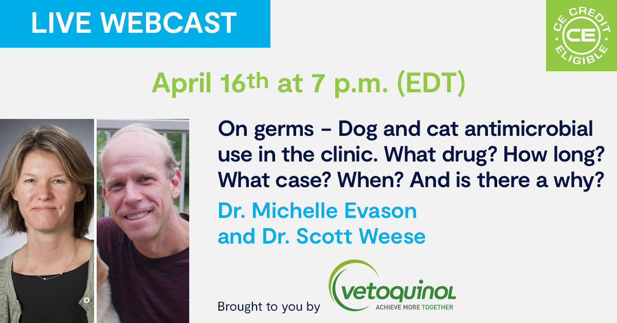 On germs − Dog and cat antimicrobial use in the clinic. What drug? How ...