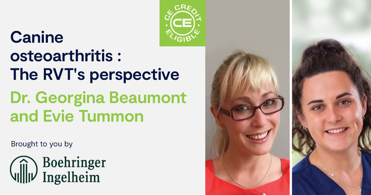 Canine osteoarthritis: The RVT’s perspective — Ontario Association of ...